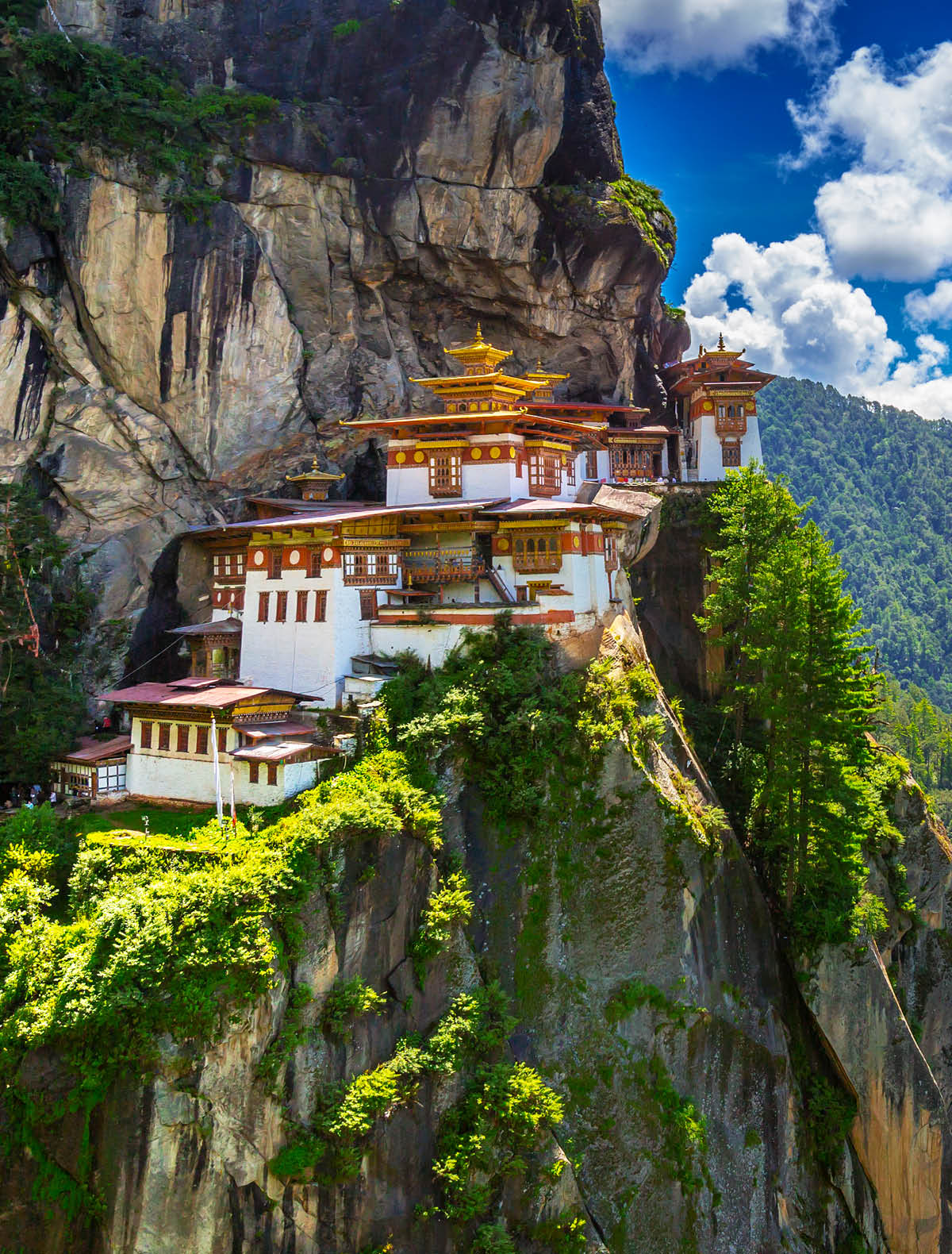 CATAI • Subcontinente Indio