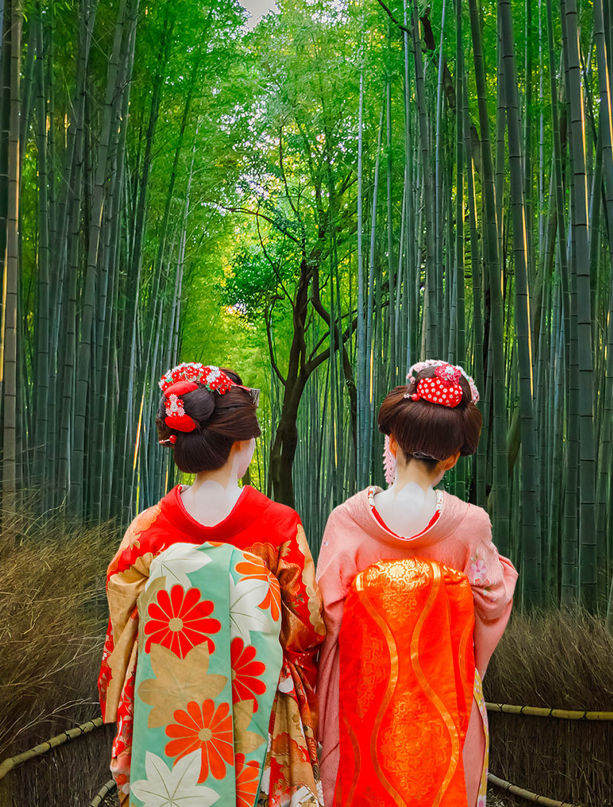 CATAI • Japón y Corea 2023